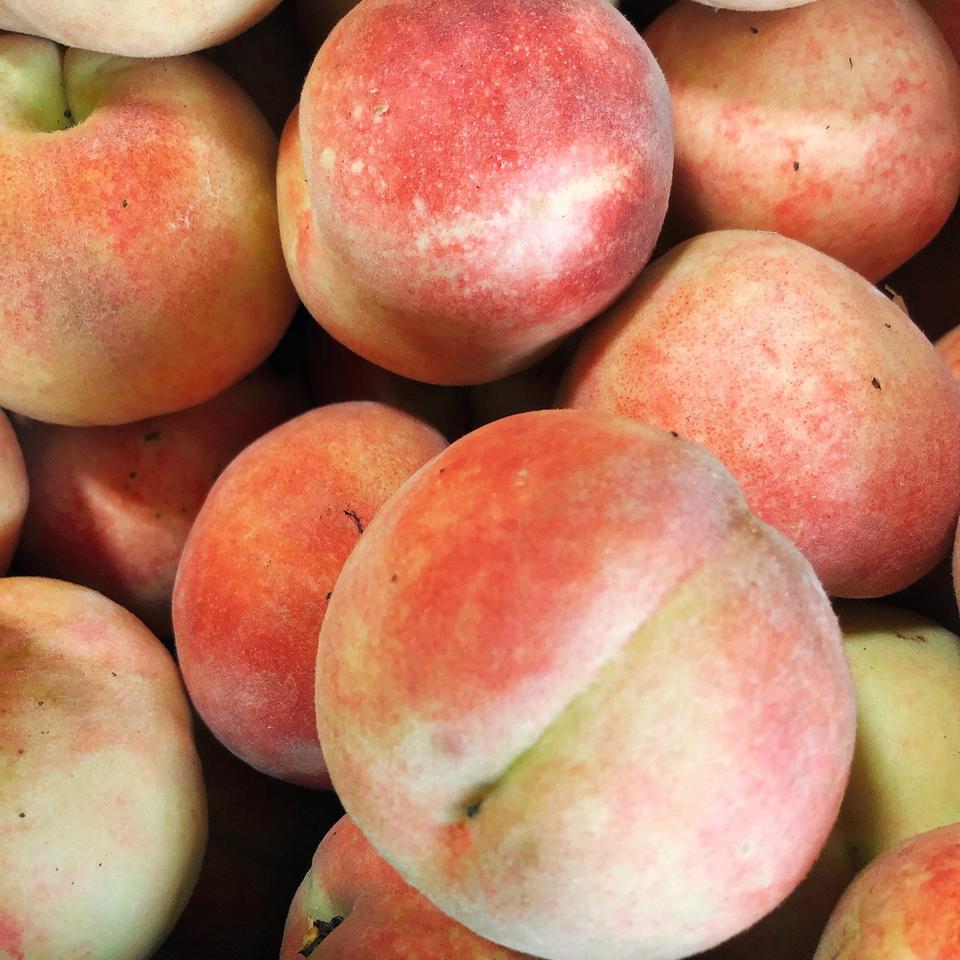 (선착순무배)복숭아 4.5kg/9kg | 헬로마켓