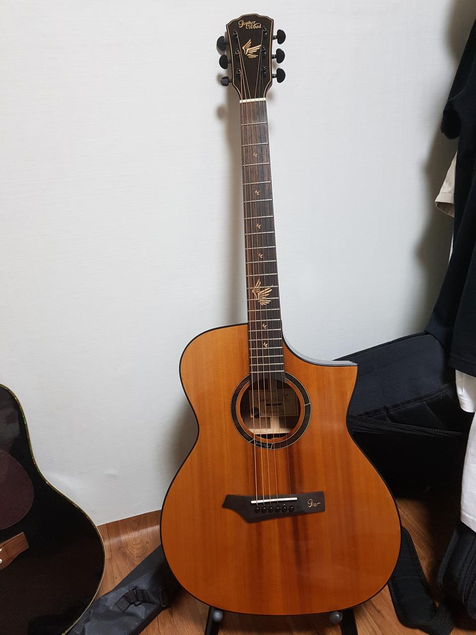 기타 고퍼우드 i320rce | 헬로마켓