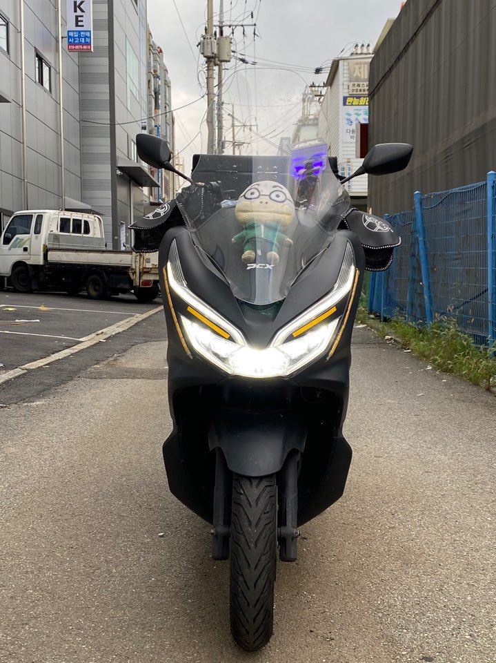 더뉴pcx 19년형 판매합니다 | 헬로마켓