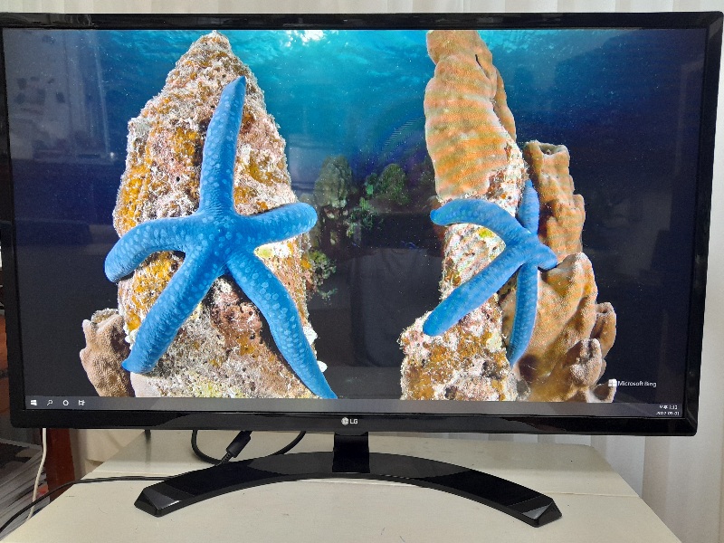 LG IPS(32MN58HM)32인치모니터 겸 IPTV | 헬로마켓