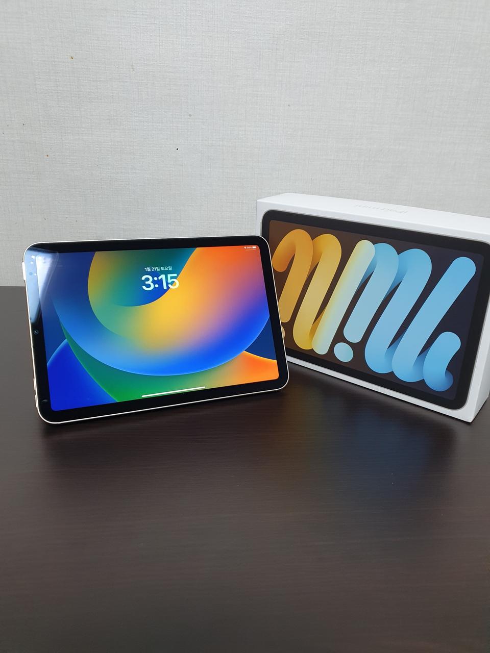 아이패드미니6 64g 셀룰러 | 세컨웨어(헬로마켓)