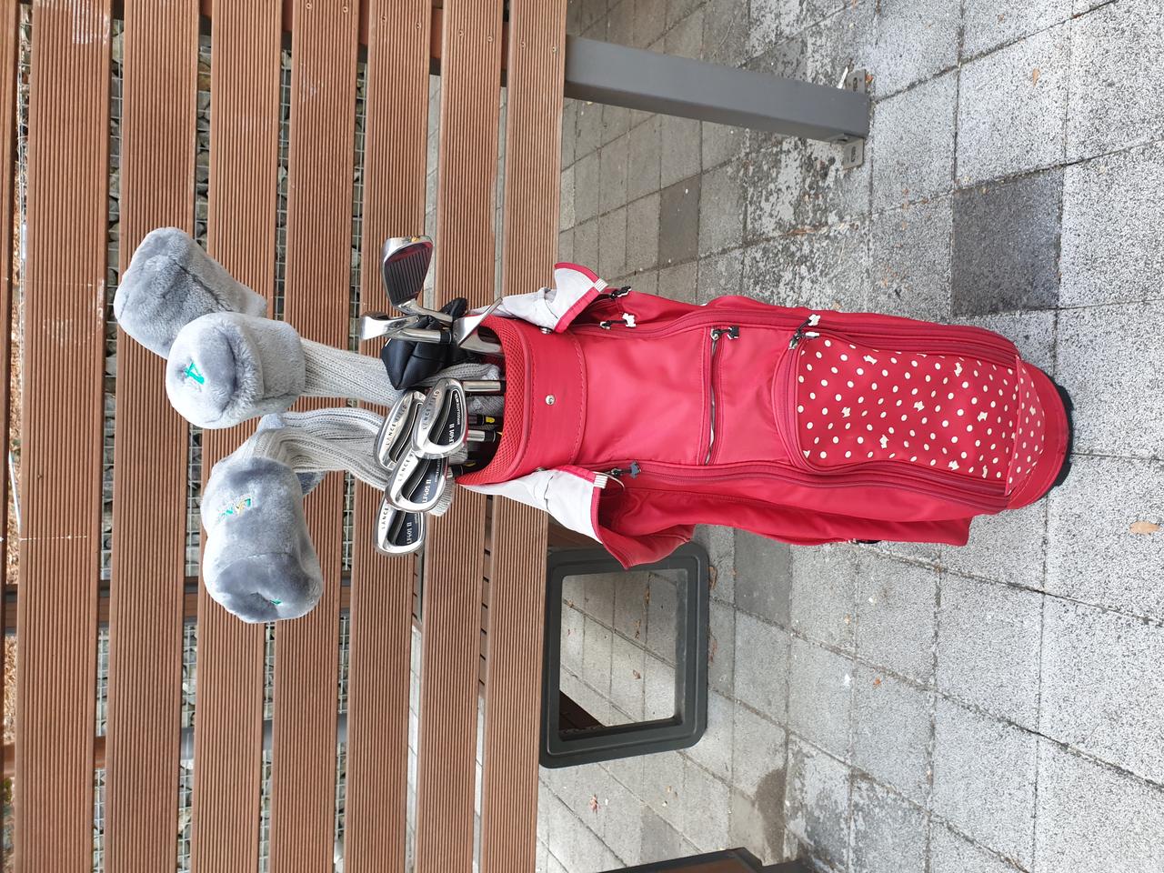 랭스필드 LF401 2 L 여성용 골프채 풀세트 | 세컨웨어