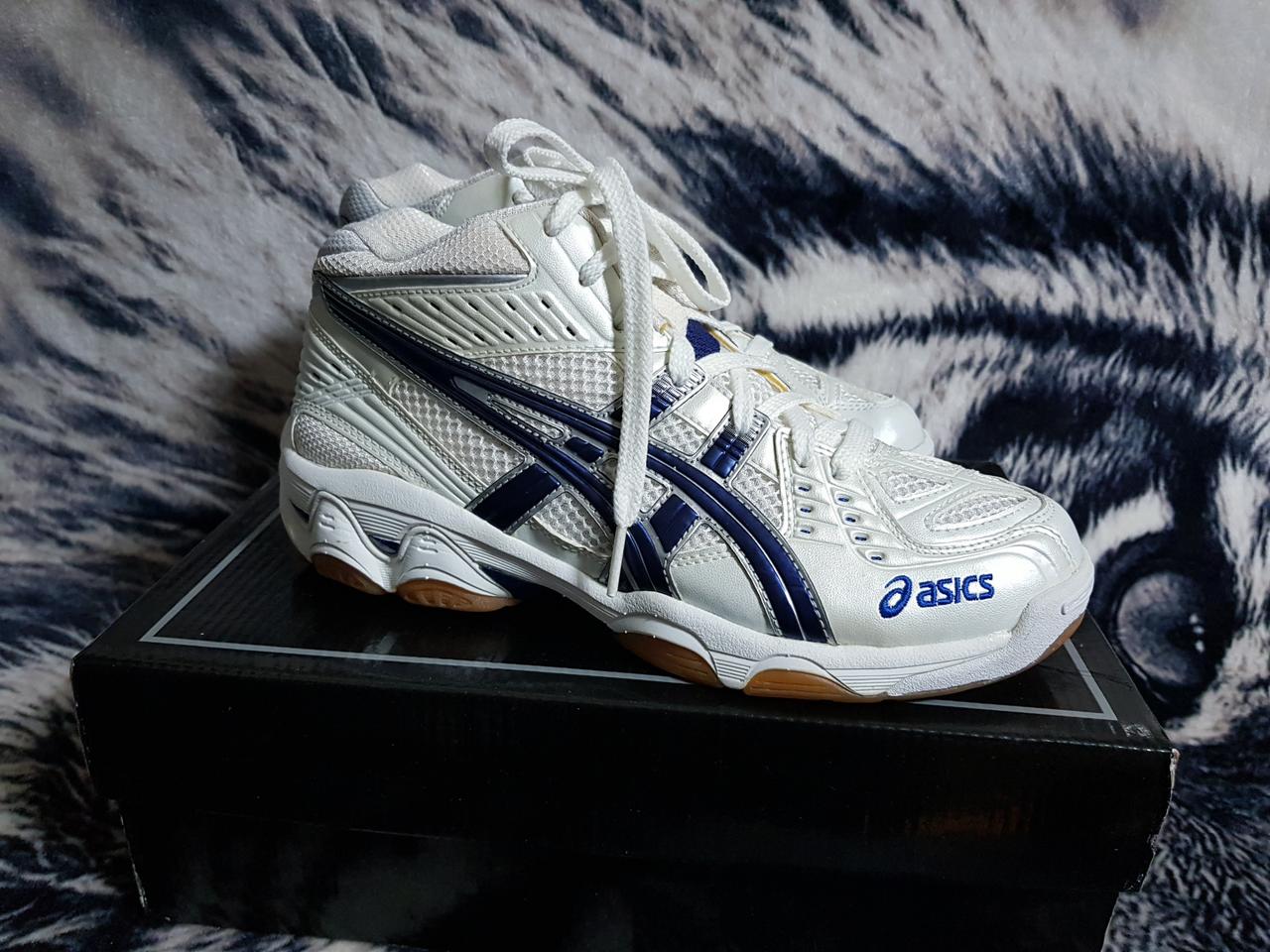 245mm) 아식스배구화 TVR 432 | 헬로마켓