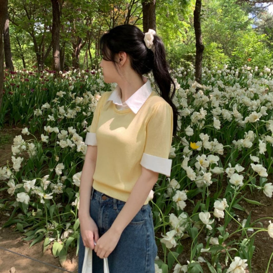 새상품 셔츠 레이어드 카라넥 반팔 니트 노랑, 보라 ... | 세컨웨어(헬로마켓)